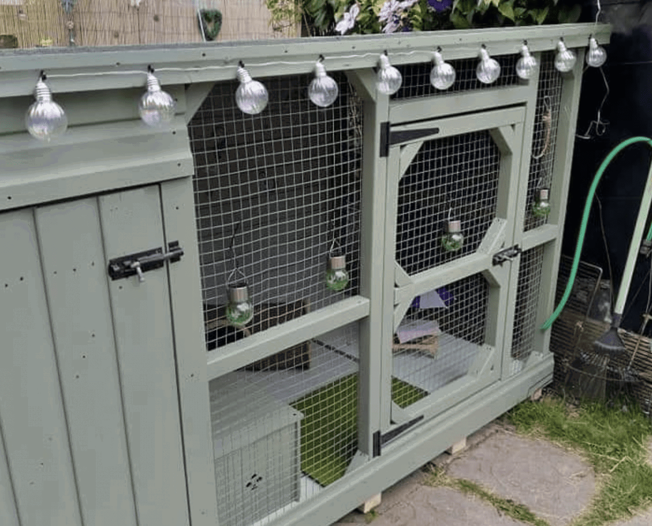 adopt a bun | Rabbit Rescue North West